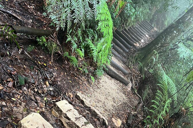Blue Mountains Experience: Explore & Discover Majestic Landscapes - Accessibility and Additional Considerations