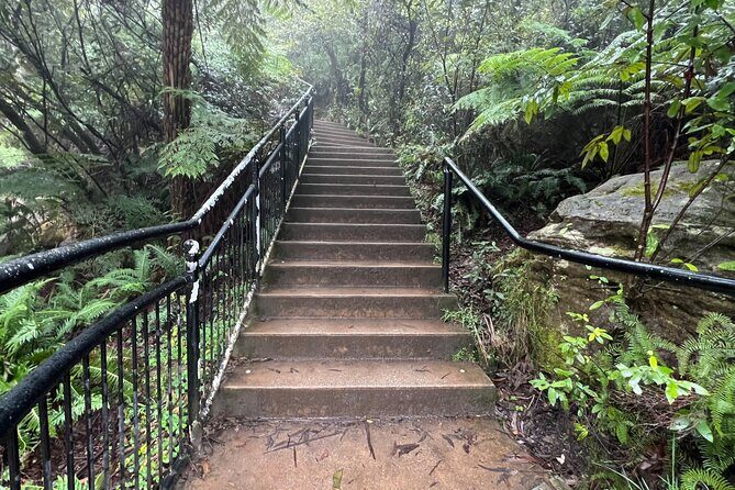 Blue Mountains Experience: Explore & Discover Majestic Landscapes - What the Reviews Tell Us