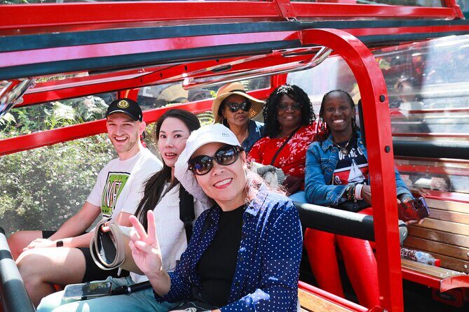 Blue Mountains Express includes Three Sisters Hiking Option - Scenic World: The Heart of Mountain Adventures