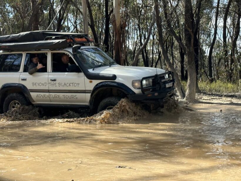 Blue Mountains: Full Day Guided Tour with Lunch - Who Would Love This Tour?