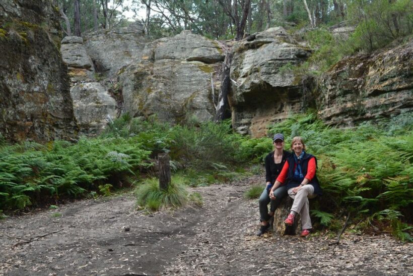 Blue Mountains: Full Day Guided Tour with Lunch - Value and Pricing