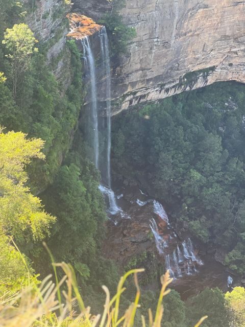 Blue Mountains: Full Day Guided Tour with Lunch - FAQ