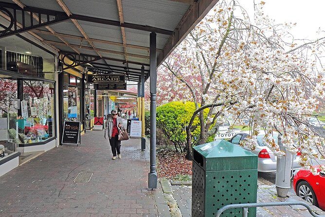 Blue Mountains Highlights & Wildlife Park - Practical Details