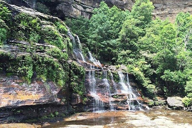 Blue Mountains Highlights & Wildlife Park - FAQs