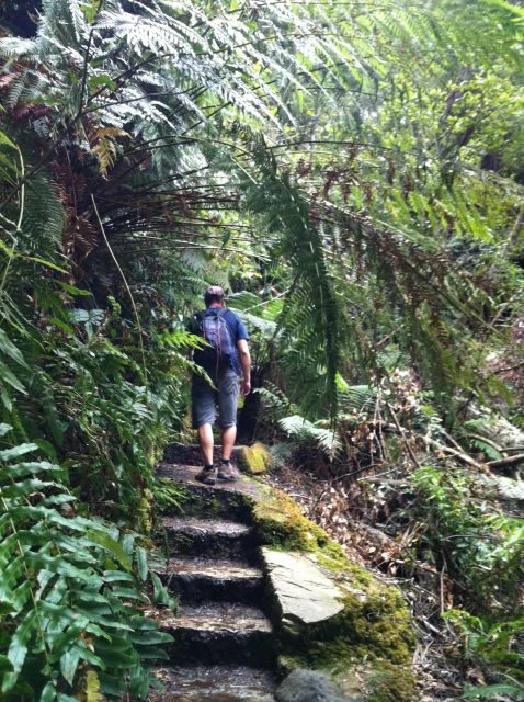 Blue Mountains: Inside a World Heritage National Park - FAQ