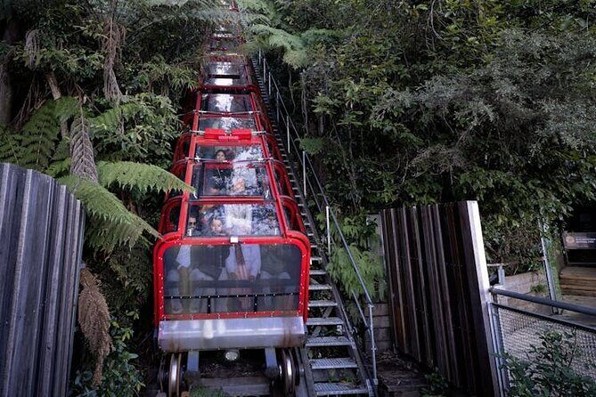 Blue Mountains Luxury Tour Experience - Practical Details and Tips
