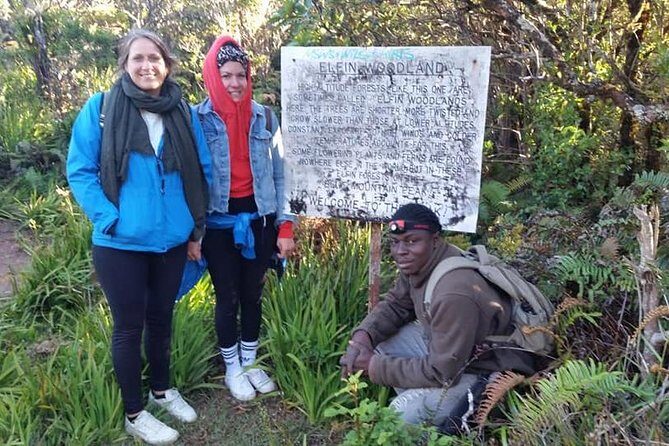 Blue Mountains Peak Hike - Why Choose This Tour?