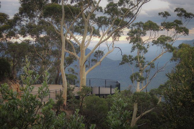 Blue Mountains Private Charter - An In-Depth Look at the Blue Mountains Private Charter