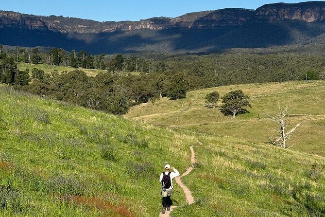 Blue Mountains Private Hike Tour -Winery drinks - Key Points