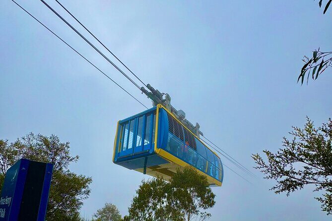 Blue Mountains Private Sightseeing Day Tours from Sydney - Why Choose a Private Blue Mountains Tour?