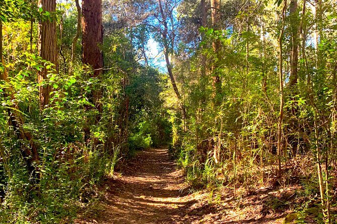 Blue Mountains Private Sightseeing Day Tours from Sydney - Insights from Travelers