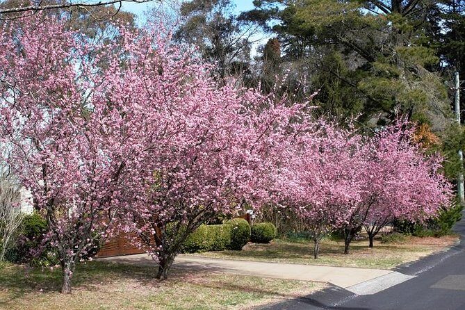 Blue Mountains Private Tour - Frequently Asked Questions
