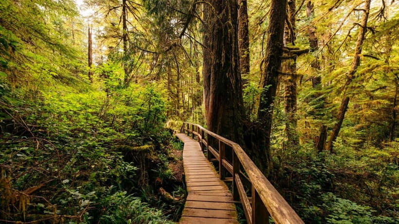 Blue Mountains Private Tour from Sydney - Who Should Consider This Tour?