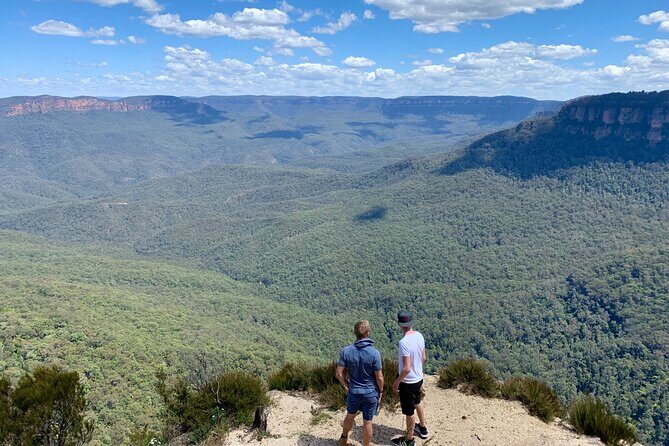 Blue Mountains Private Tour From Sydney, & Featherdale Aussie Animal Park Option - Key Points