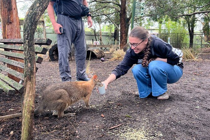 Blue Mountains Private Tour & Scenic World Included - The Sum Up