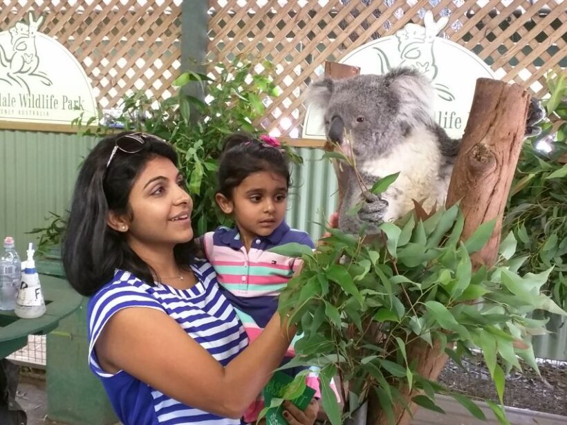 Blue Mountains private tour with Featherdale Wildlife Park - Final Thoughts: Who Will Love This Tour?