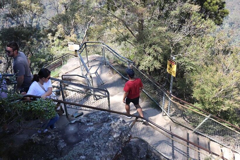 Blue Mountains: Private Tour with Wildlife and River Cruise - Who This Tour Is Best For
