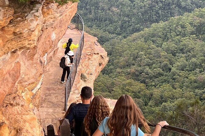 Blue Mountains Private Tours Sydney Zoo or Scenic world Options - An Overview of the Tour Experience