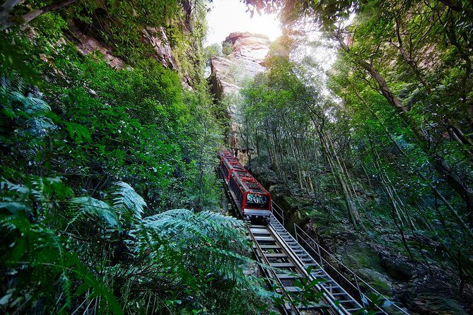 Blue Mountains Small-Group Tour from Sydney with Scenic World,Sydney Zoo & Ferry - Key Points