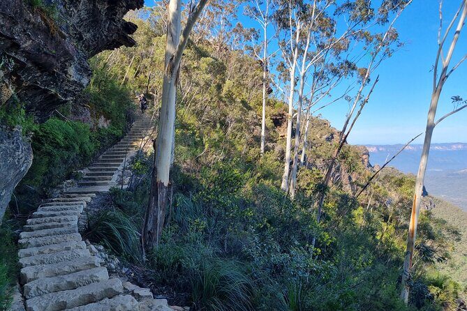 Blue Mountains Small Group Tour with Lunch, Zoo and Scenic World - Final Thoughts