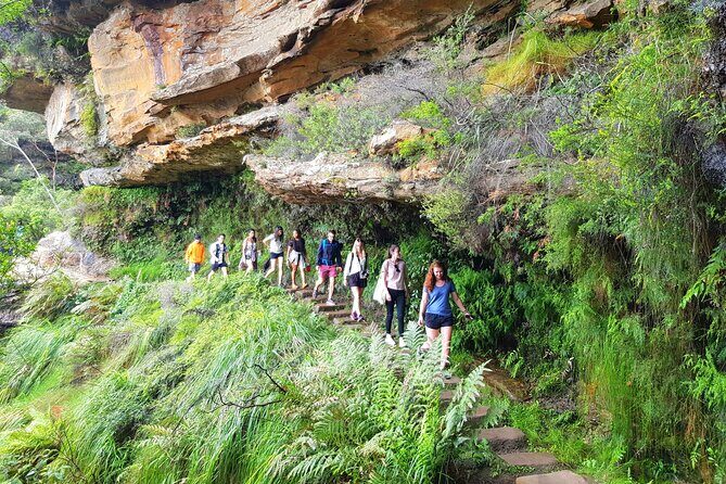 Blue Mountains Small Group Tour with Waterfall Walk & Fresh Lunch - Getting Out of Sydney: A Smooth Start