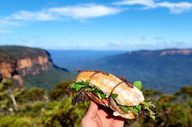 Blue Mountains Small Group Tour with Waterfall Walk & Fresh Lunch - Waterfall Walk and Optional Swim