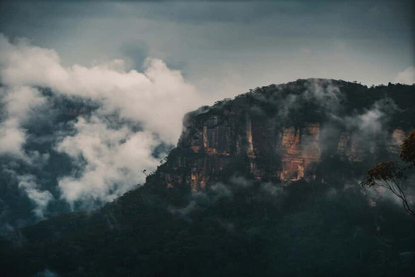 Blue Mountains Small Groups Tour From Sydney: Private - Wildlife Encounters at Featherdale Wildlife Park