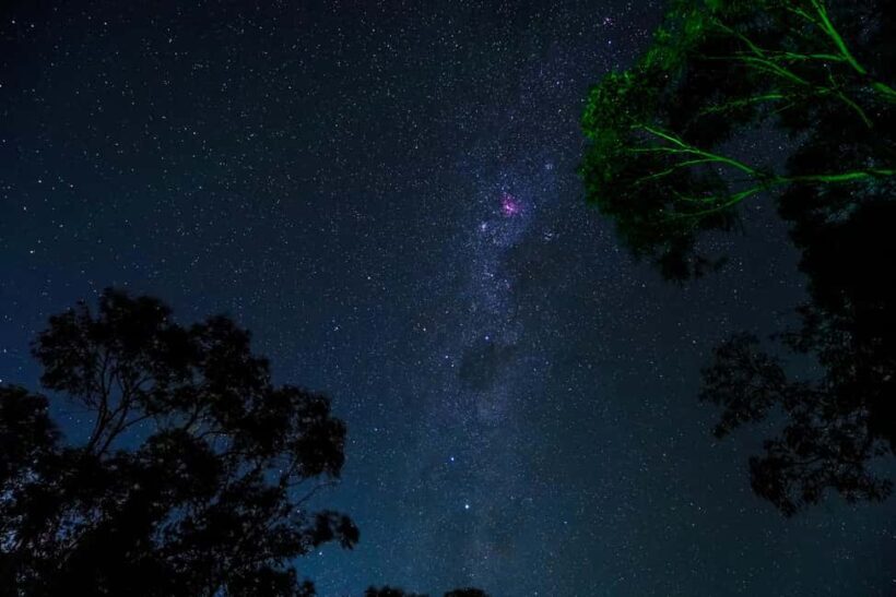 Blue Mountains: Stargazing with a Telescope and Astronomer - Detailed Breakdown of the Cost & Value