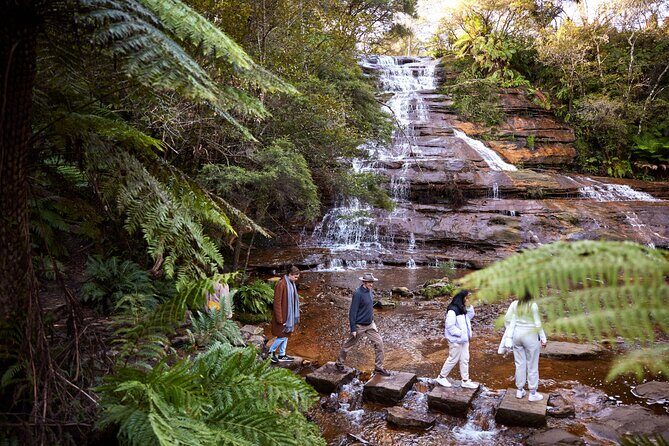 Blue Mountains Sunset Tour with Kangaroo Sightings from Sydney - An In-Depth Look at the Blue Mountains Sunset Tour