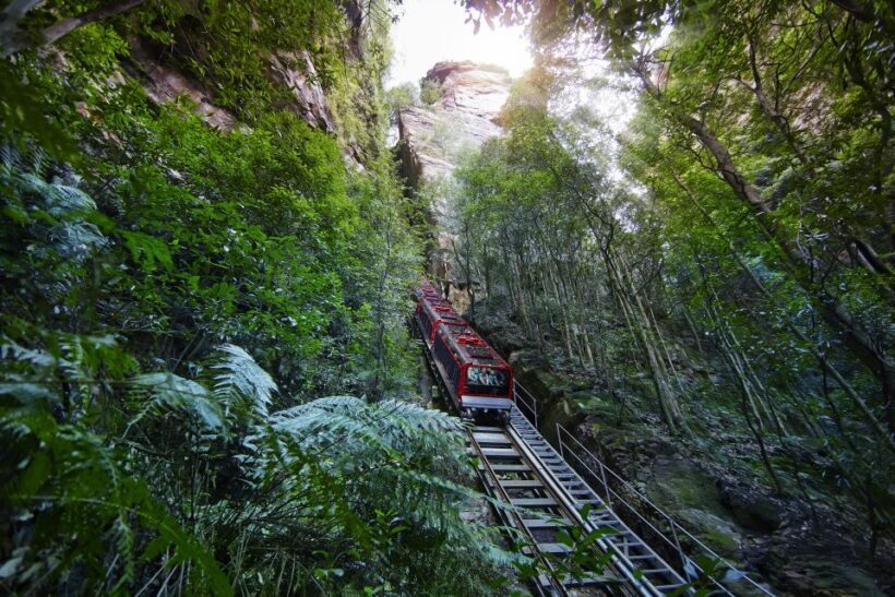 Blue Mountains Tour: Scenic World, Lunch, Zoo and Cruise - Key Points