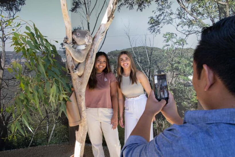Blue Mountains Tour w/Lunch: Scenic World, Zoo & Koala Photo - Analyzing the Value and Cost