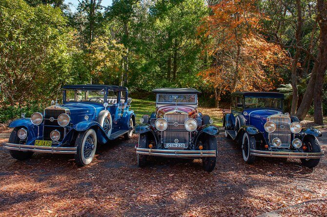 Blue Mountains Vintage Cadillac Tour with Local Guide - What the Reviews Say