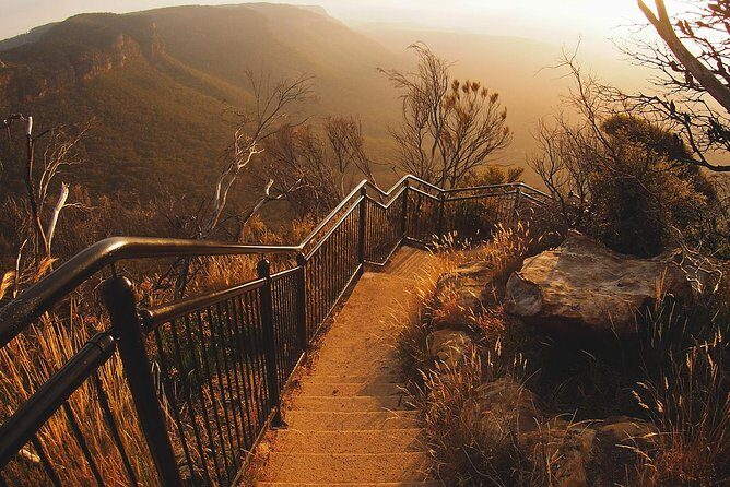 Blue Mountains Vintage Cadillac Tour with Local Guide - FAQs