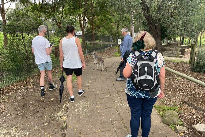 Blue Mountains Wildlife Full-Day Sights and Hiking from Sydney - The Price and Value