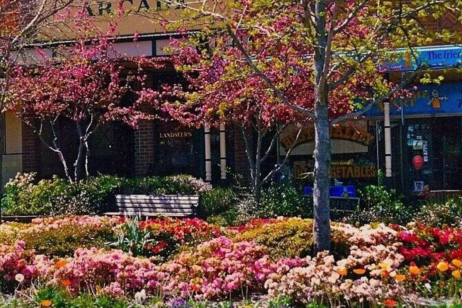 Blue Mountains Winery Tasting Private Tour - Pick up & drop off - Who Is This Tour Best For?