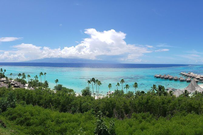 Blue Pearl Private Tour - Key Points
