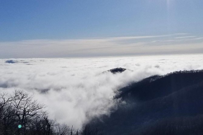 Blue Ridge Parkway Waterfalls Hiking Tour from Asheville - Who This Tour Is Perfect For