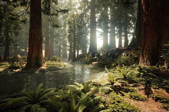 Blue Springs, Redwood Forest, Huka Falls Private tour - A Deep Dive into the Tour Experience