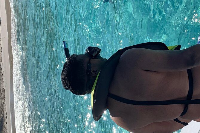 Bluefinn242 Swim with the Turtles in Nassau Bahamas - What’s Included and What to Bring