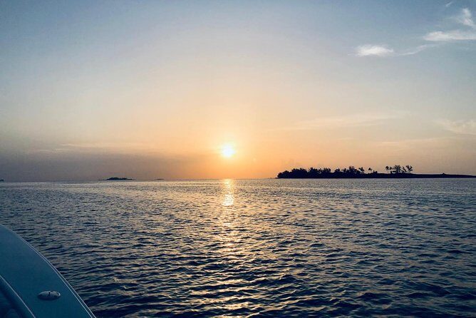 Bluefinn242 Swim with the Turtles in Nassau Bahamas - The Experience Through Reviews