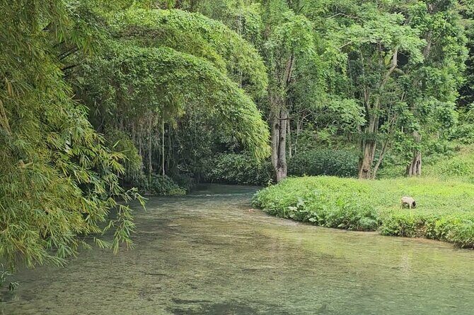 Bluehole secret falls & ATV Experience tour from Montego Bay - What the Experience Looks Like