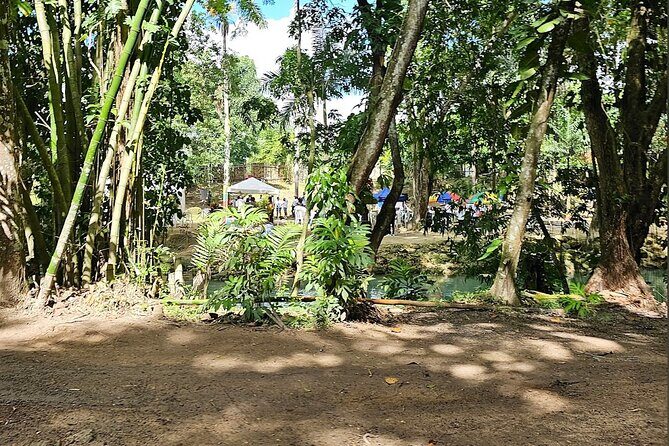 Bluehole secret falls & ATV Experience tour from Montego Bay - Analyzing the Value and Suitability
