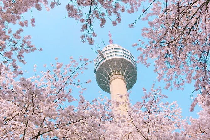 Blueline Park Sky Capsule & Spring Blossom Tour from Busan - Introducing the Blueline Park Sky Capsule & Spring Blossom Tour from Busan