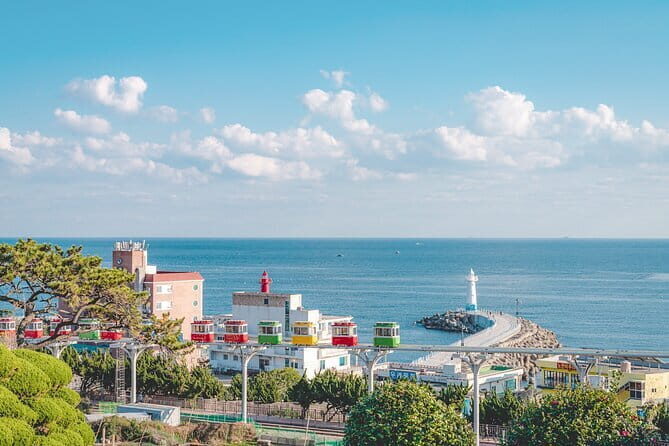 Blueline Park Sky Capsule & Spring Blossom Tour from Busan - Key Points