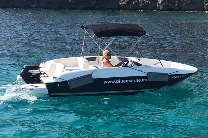Bluemarine.Me License Free Bayliner Element E5 Rental - Rental Inclusions