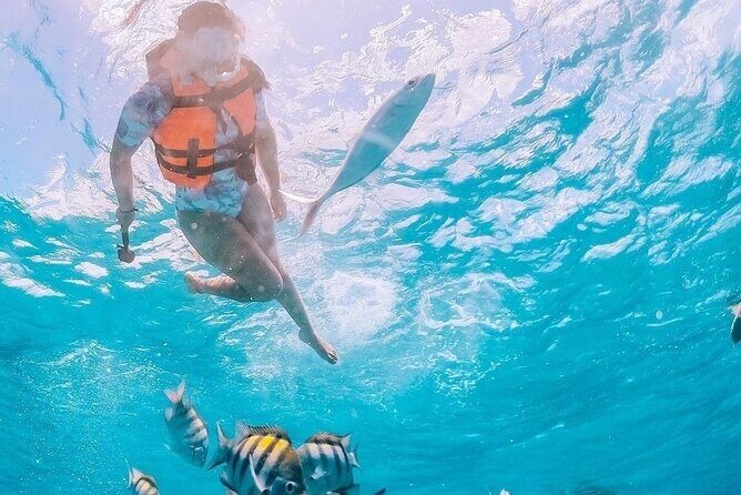 Boat and Snorkel Tour to 5 Islands of Los Arcos - An In-Depth Look at the Tour