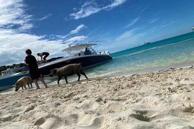 Boat Charters & Excursions - An In-Depth Look at the Tour