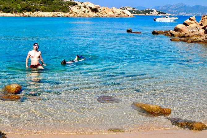 Boat Dolphins Safari and Snorkeling - The Sum Up: Who Will Truly Love This Tour?