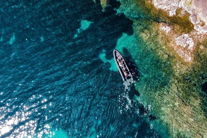 Boat Excursion - Cannes Esterel Coves Insight – 1H30 - Participation Requirements and Restrictions