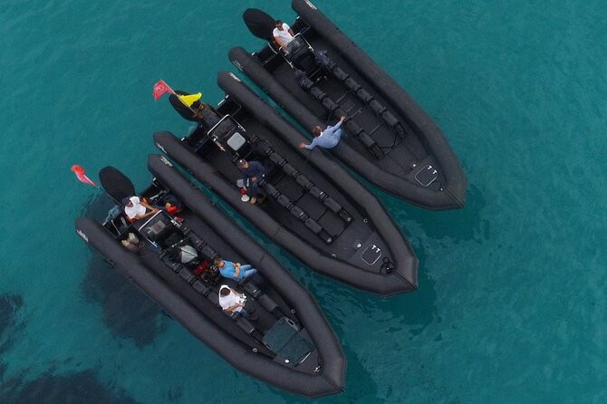 Boat Excursion - Nice/St Jean Cap Ferrat 1H30 - Frequently Asked Questions